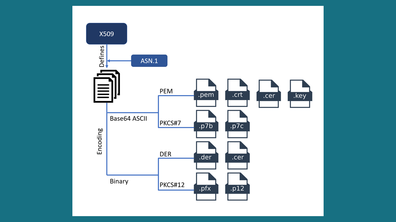 What Is A Pfx File In SSL Certificates And Why You Should Save It